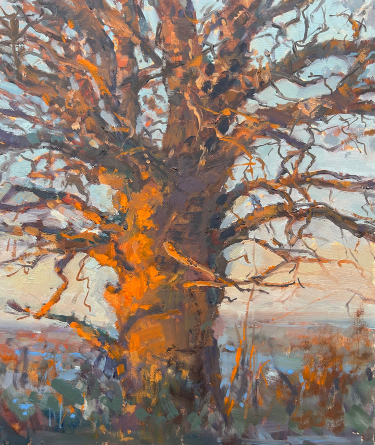 Georgina Potter original oil paintings